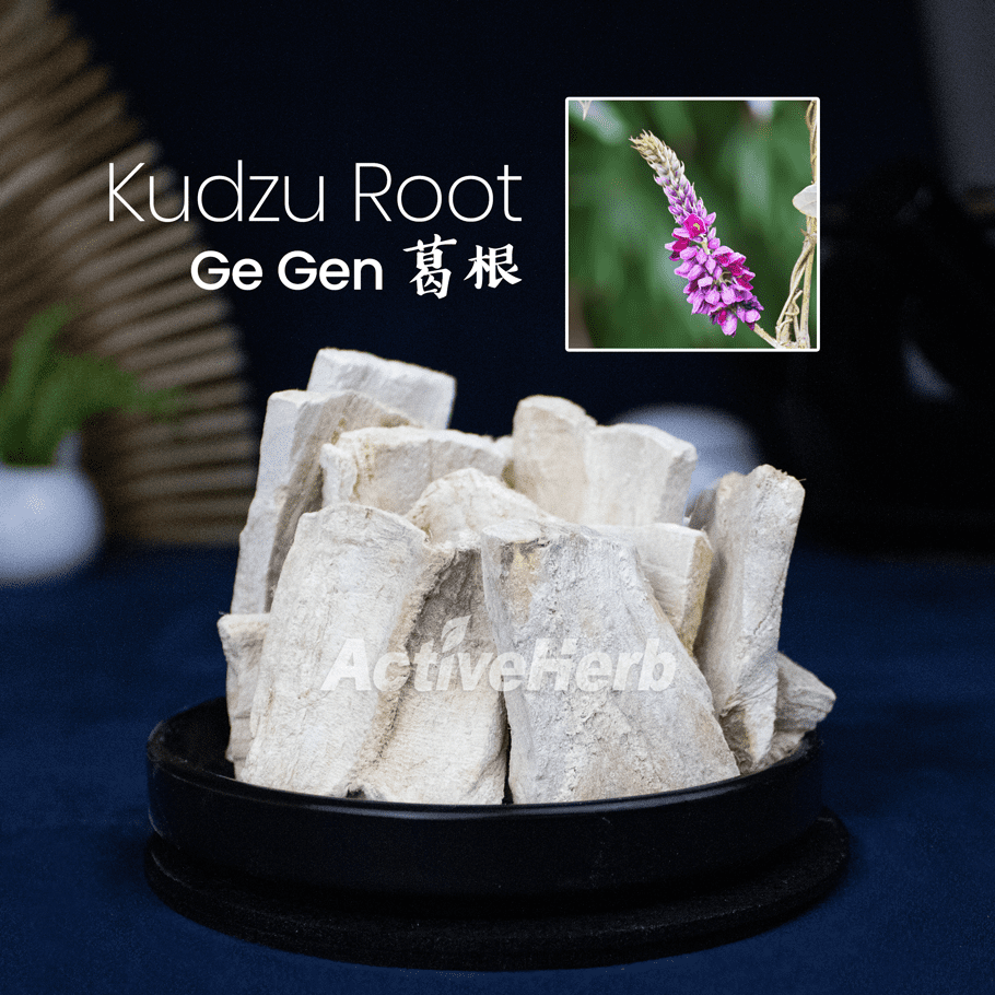Ge Gen (Kudzu Root, Radix Puerariae, 葛根) bulk Chinese herb - ActiveHerb