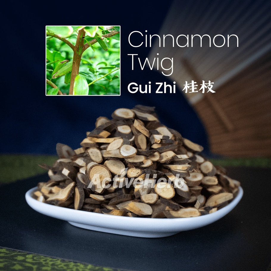Gui Zhi (Cinnamon Twig, Ramulus Cinnamomi, 桂枝) bulk Chinese herb ...