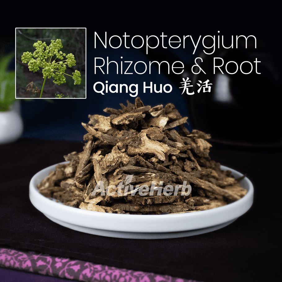 Qiang Huo (Notopterygium Rhizome and Root, Rhizoma et Radix ...