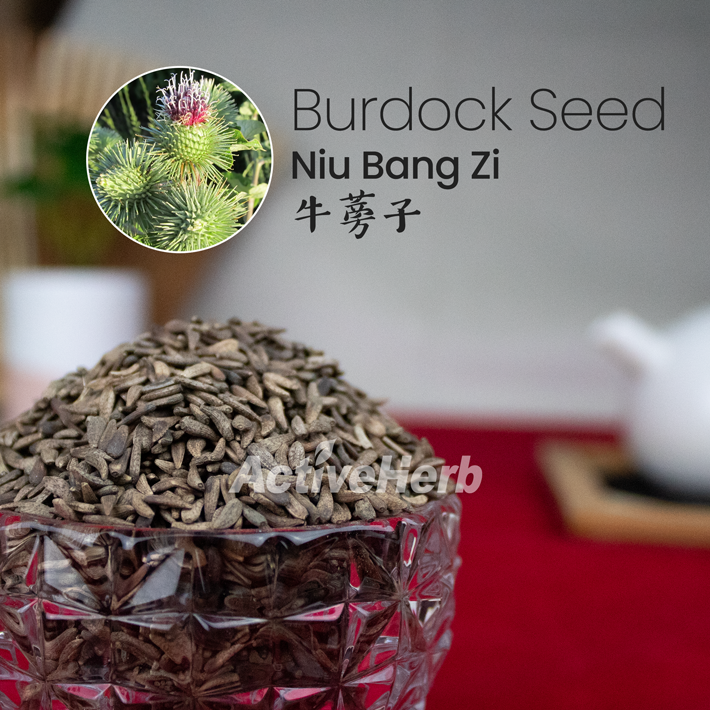 Niu Bang Zi (Burdock Seed, Fructus Arctii Lappae, 牛蒡子) bulk Chinese ...