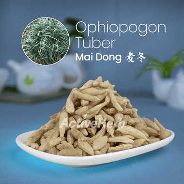 Mai Dong (Mai Men Dong, Ophiopogon Tuber, Radix Ophiopogonis, 麦冬) bulk ...