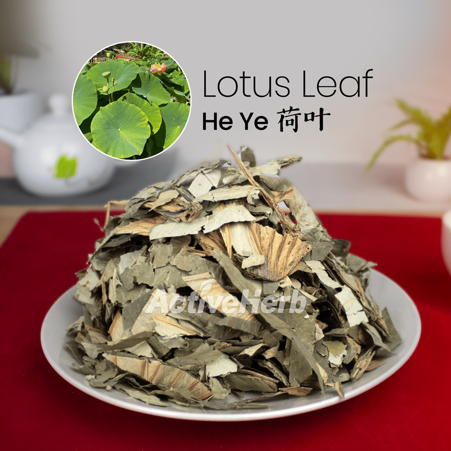 He Ye (Lotus Leaf, Folium Nelumbinis, 荷叶) bulk Chinese herb - ActiveHerb