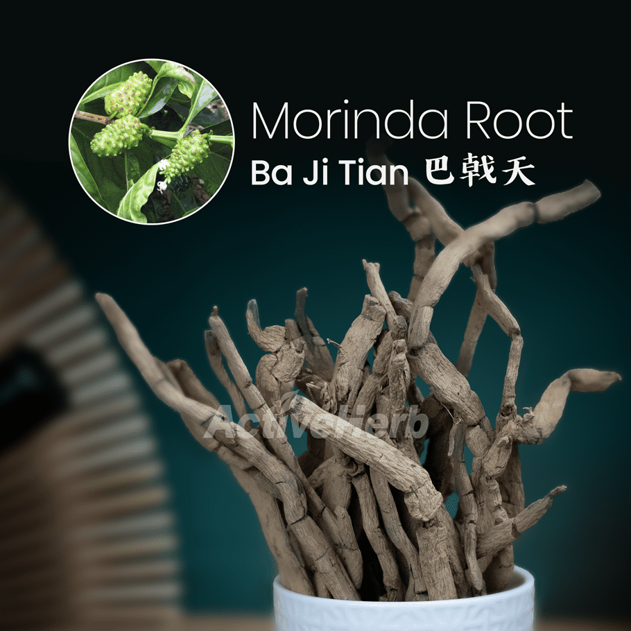 Ba Ji Tian (Morinda Root, Radix Morindae Officinalis, 巴戟天) bulk Chinese ...