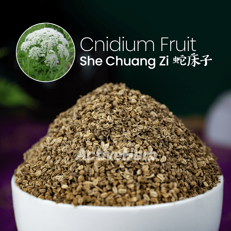 She Chuang Zi (Cnidium Fruit, Fructus Cnidii, 蛇床子) bulk Chinese herb ...