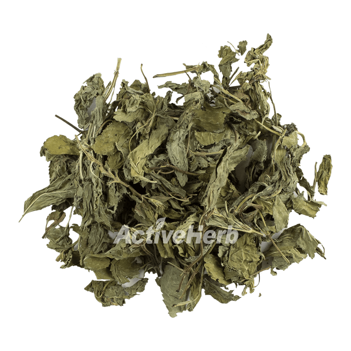 Bo He (Peppermint, Herba Menthae, 薄荷) bulk Chinese herb - ActiveHerb