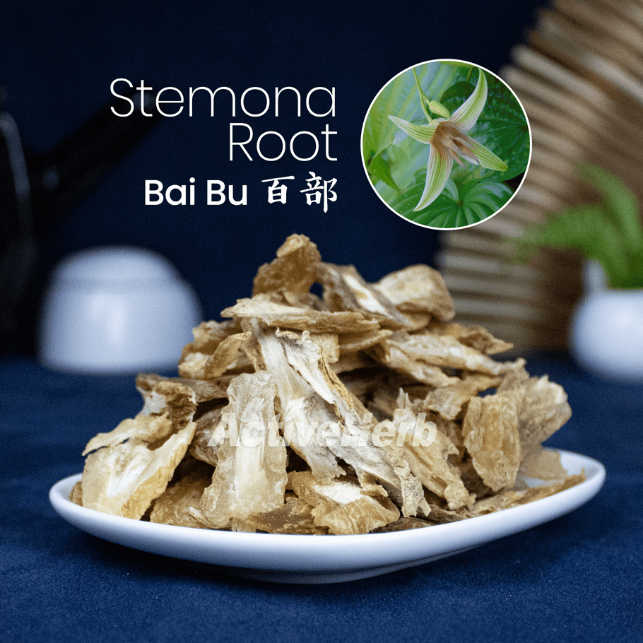 Bai Bu (Stemona Root, Radix Stemonae, 百部) bulk Chinese herb - ActiveHerb