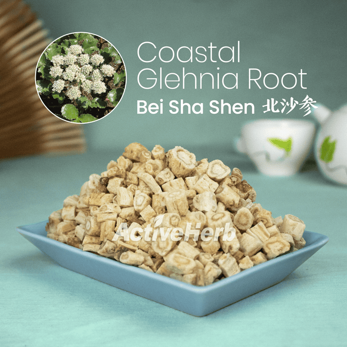 Bei Sha Shen (Coastal Glehnia Root, Radix Glehniae, 北沙参) bulk Chinese ...