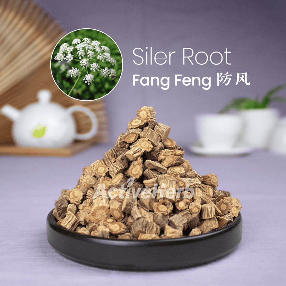 Fang Feng (Siler Root, Radix Saposhnikoviae, 防风) bulk Chinese herb ...
