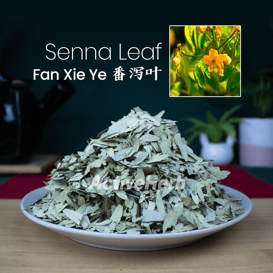 Fan Xie Ye (Senna Leaf, Folium Sennae, 番泻叶) bulk Chinese herb - ActiveHerb