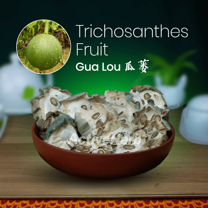 Gua Lou (Trichosanthes Fruit, Fructus Trichosanthis, 瓜蒌) bulk Chinese ...