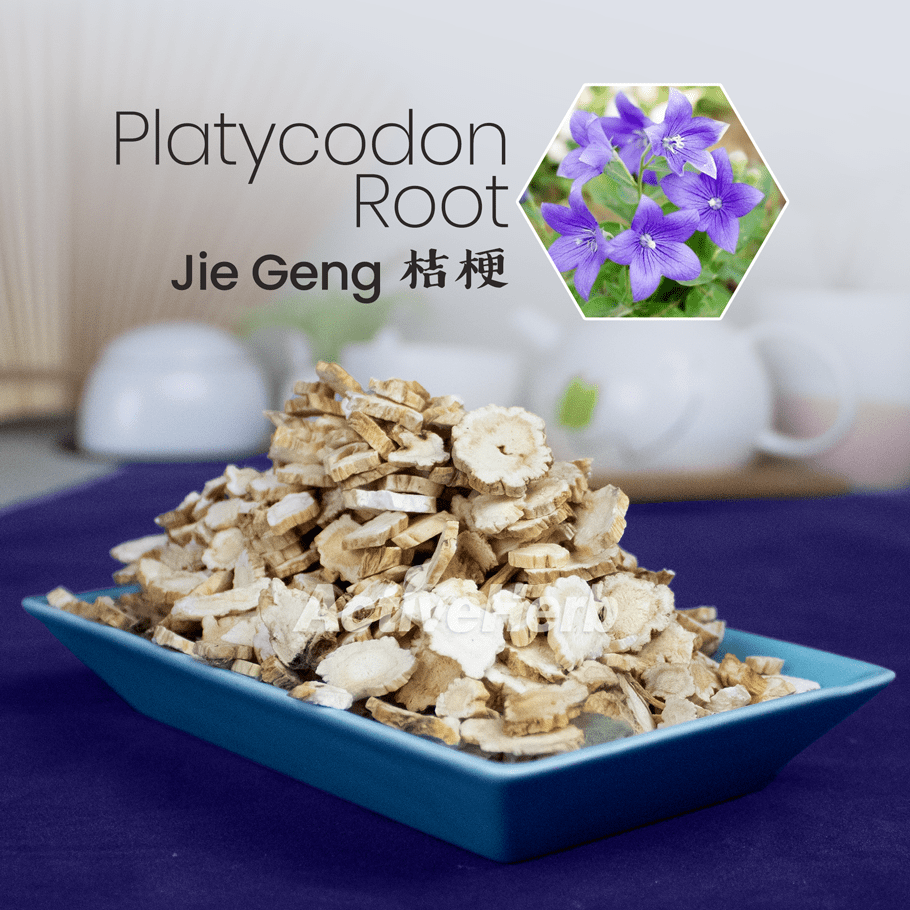 Jie Geng (Platycodon Root, Radix Platycodi, 桔梗) bulk Chinese herb ...