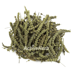 Jing Jie (Schizonepeta Herb, Herba Schizonepetae, 荆芥) bulk Chinese herb ...