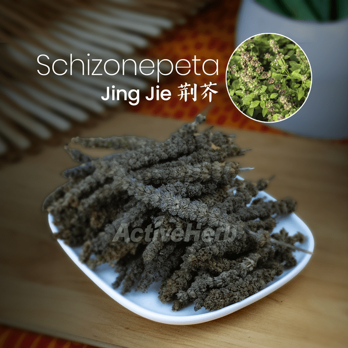 Jing Jie (Schizonepeta Herb, Herba Schizonepetae, 荆芥) bulk Chinese herb - ActiveHerb