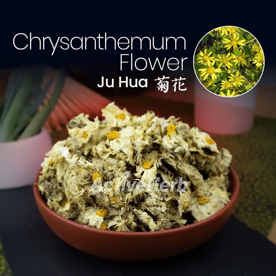 Ju Hua (Chrysanthemum Flower, Flos Chrysanthemi, 菊花) bulk Chinese herb ...
