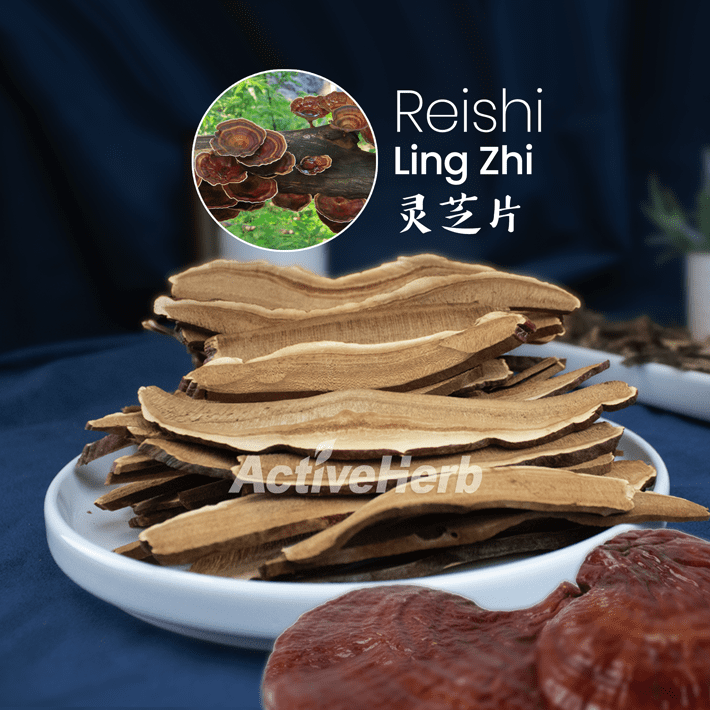 Ling Zhi (Reishi, Ganoderma, 灵芝) bulk Chinese herb - ActiveHerb