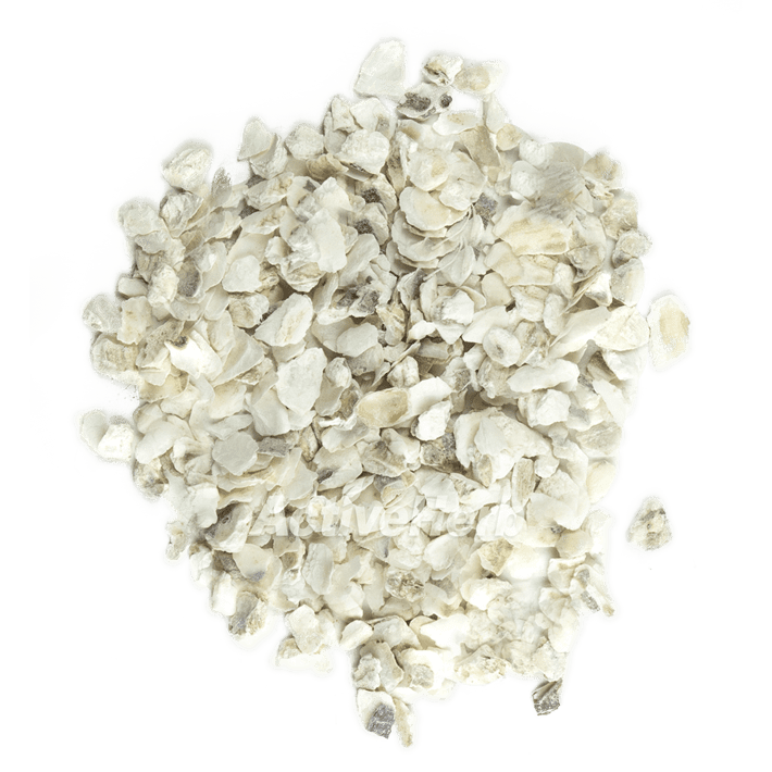 Mu Li (Oyster Shell, Concha Ostreae, 牡蛎) bulk Chinese herb - ActiveHerb