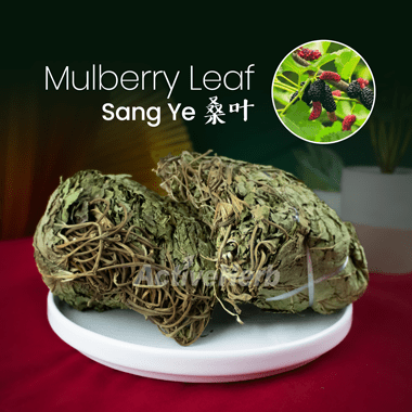 Sang Ye (Mulberry Leaf, Folium Mori, 桑叶) bulk Chinese herb - ActiveHerb