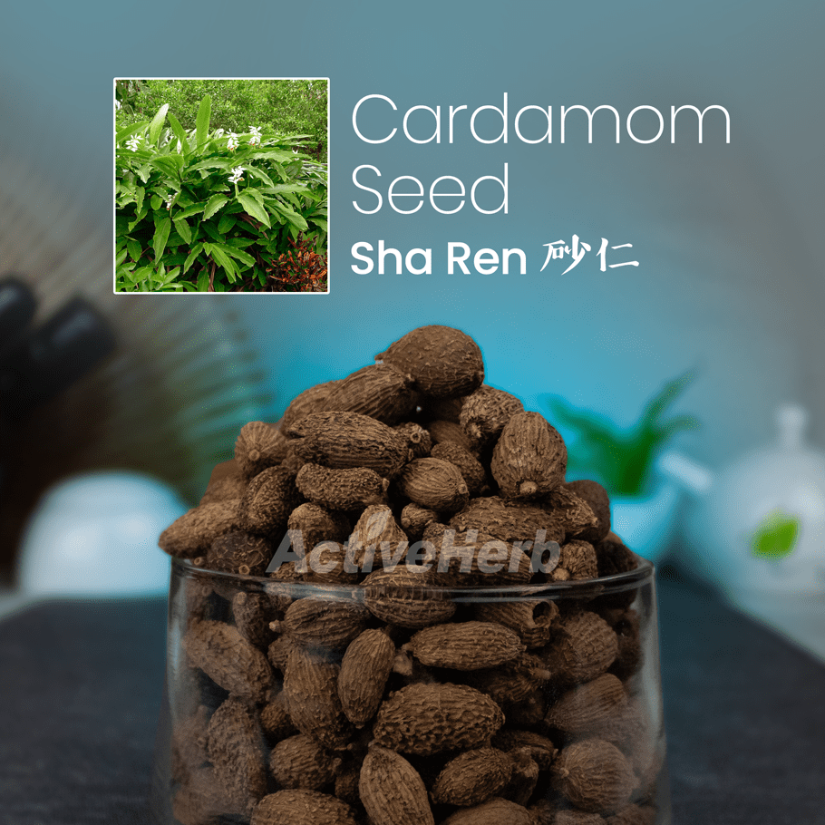 Sha Ren (Cardamom Seed, Fructus Amomi, 砂仁) bulk Chinese herb - ActiveHerb