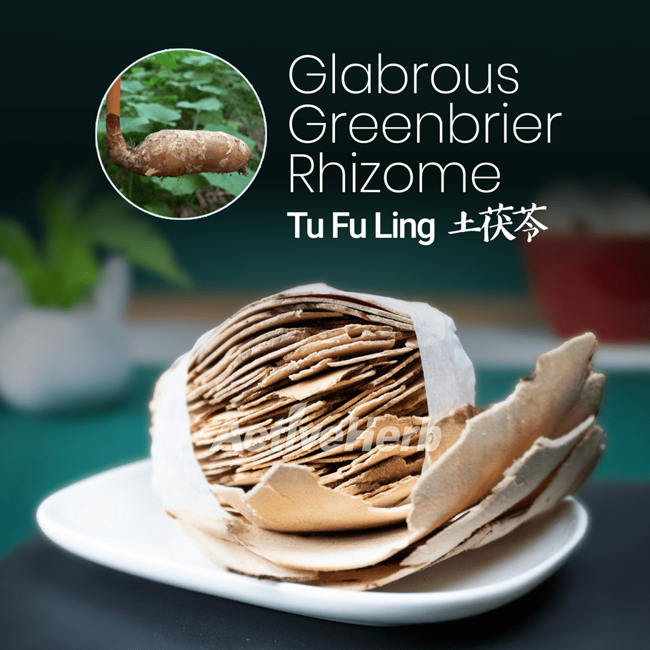 Tu Fu Ling (Glabrous Greenbrier Rhizome, Rhizoma Smilacis Glabrae, 土茯苓 ...