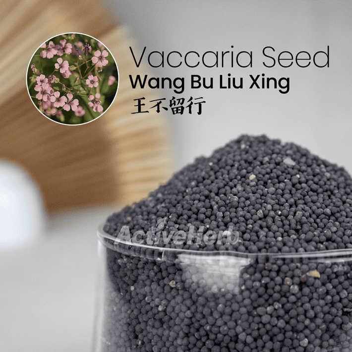 Wang Bu Liu Xing (Vaccaria Seed, Semen Vaccariae, 王不留行) bulk Chinese ...