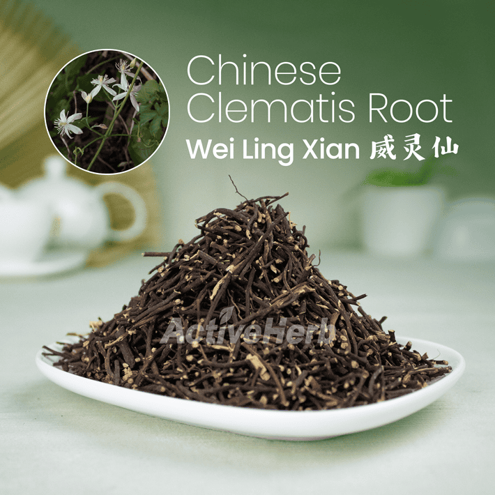 Wei Ling Xian (Chinese Clematis Root, Radix Clematidis, 威灵仙) bulk ...