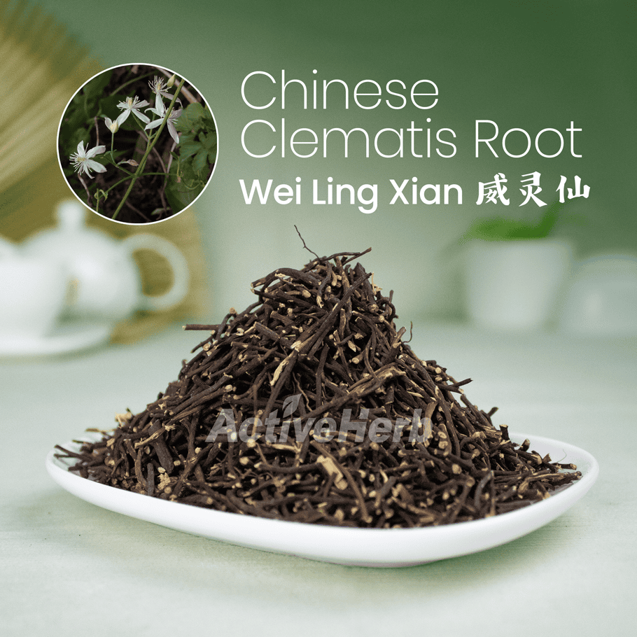 Wei Ling Xian (Chinese Clematis Root, Radix Clematidis, 威灵仙) bulk ...
