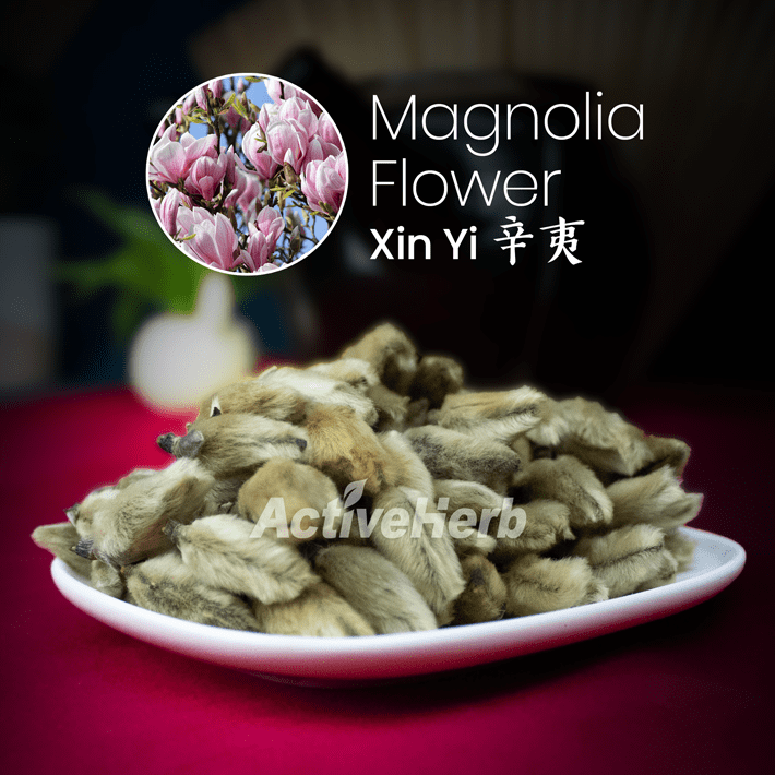 Xin Yi (Magnolia Flower, Flos Magnoliae, 辛夷) bulk Chinese herb - ActiveHerb