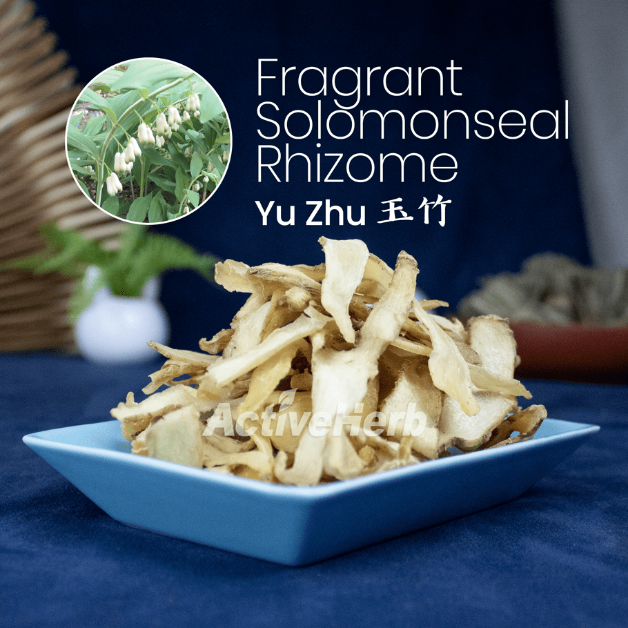 Yu Zhu (Fragrant Solomonseal Rhizome, Rhizoma Polygonati Odorati, 玉竹 ...