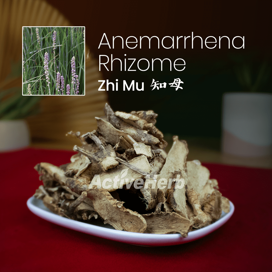 Zhi Mu (Anemarrhena Rhizome, Rhizoma Anemarrhenae, 知母) bulk Chinese ...