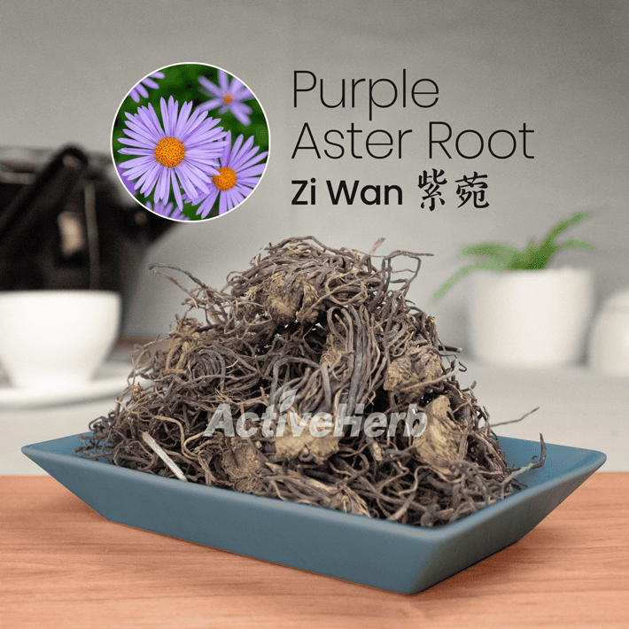 Zi Wan (Purple Aster Root, Radix Asteris, 紫菀) bulk Chinese herb ...